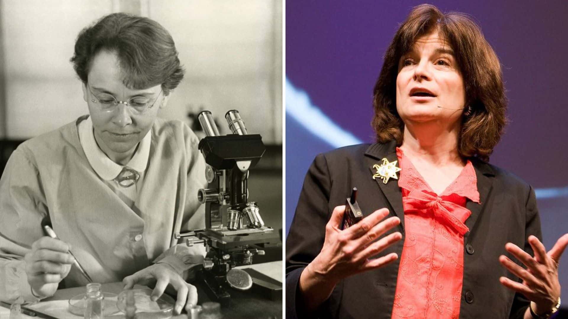 Women scientists who changed the world
