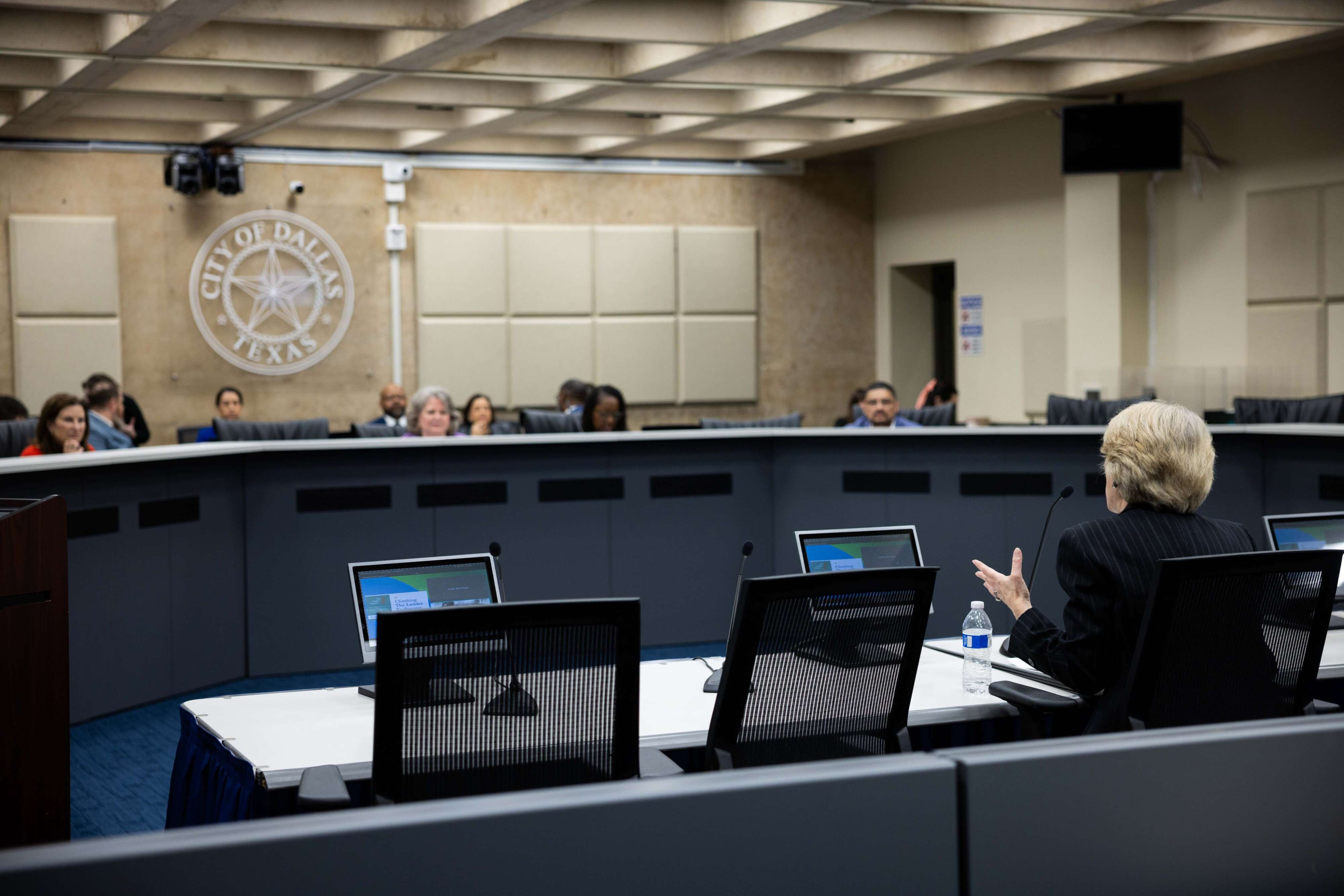 Former mayor Laura Miller: Dallas can use private sector to aid ...