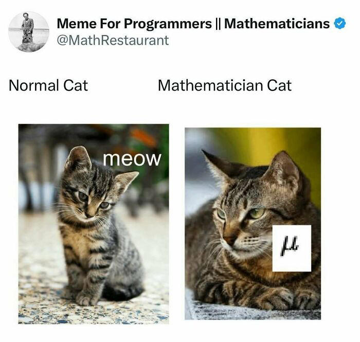 74 math memes for those who no longer need to count on their fingers