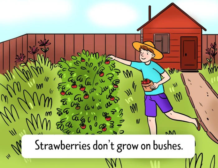 Observation test: Spot the mistake in this boy picking strawberries image