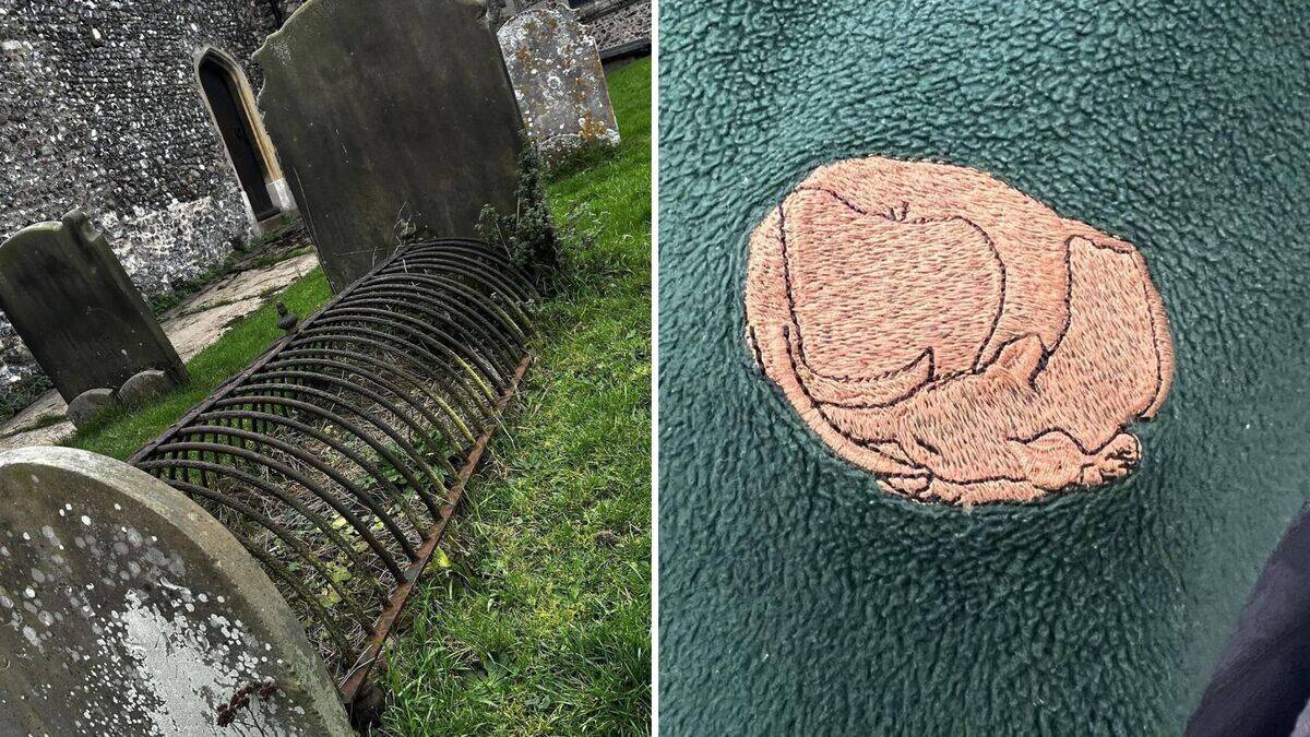 Weird objects that totally stumped people online