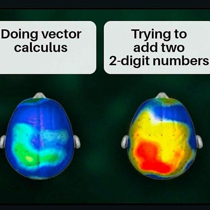 74 math memes for those who no longer need to count on their fingers