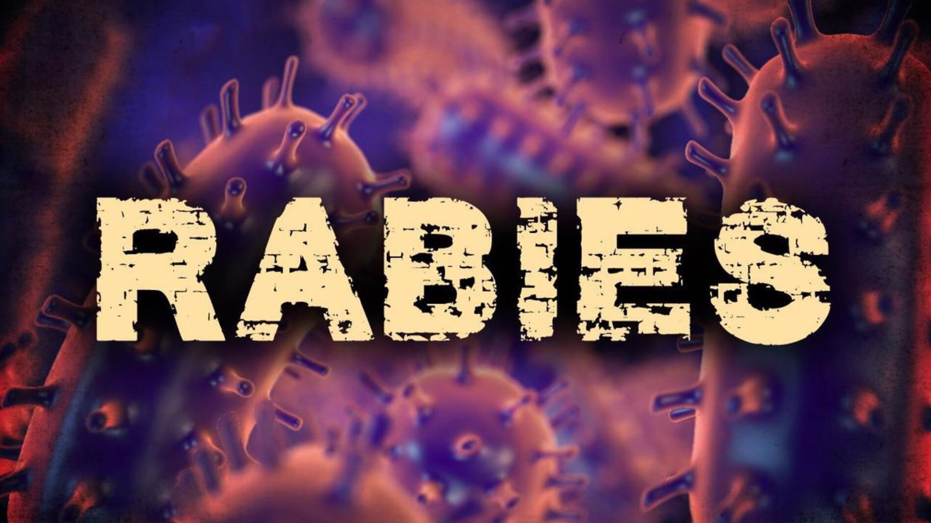 Person receiving rabies treatment after fox attack on Prescott trail