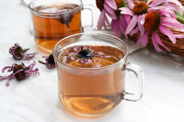 What happens to your blood sugar when you drink echinacea tea?
