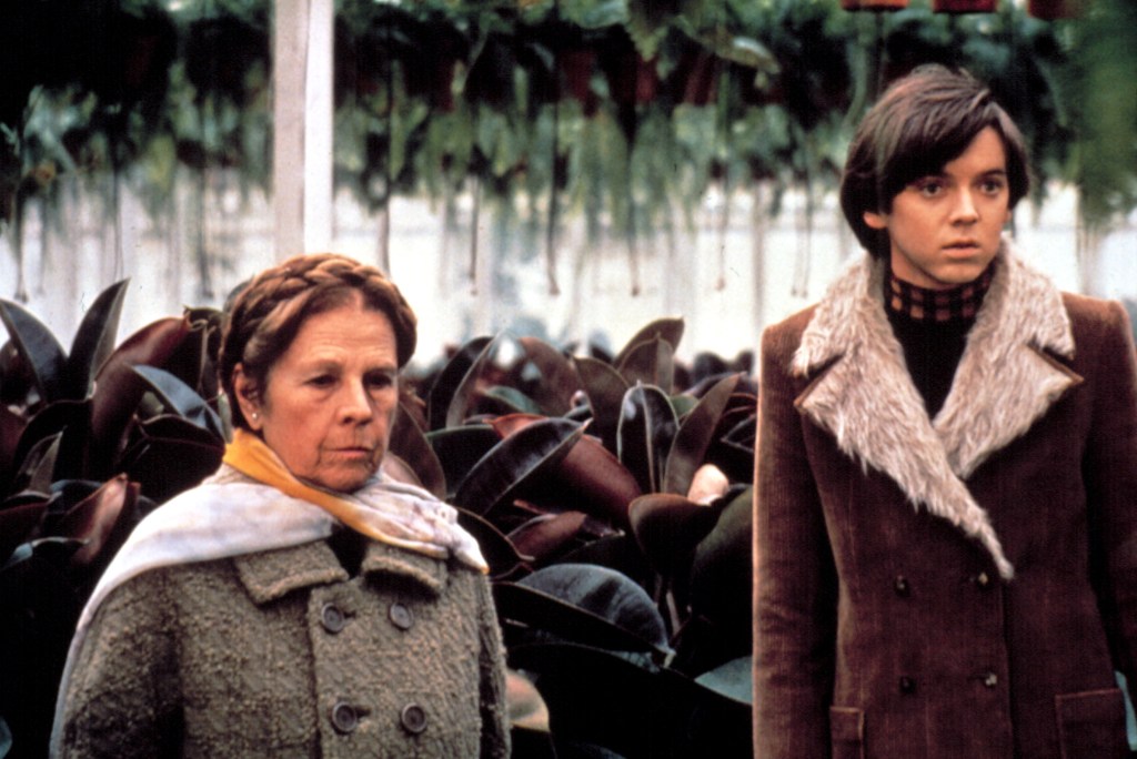 Bud Cort dies: ‘Harold and Maude' actor was 77