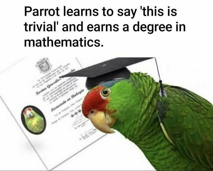 74 math memes for those who no longer need to count on their fingers