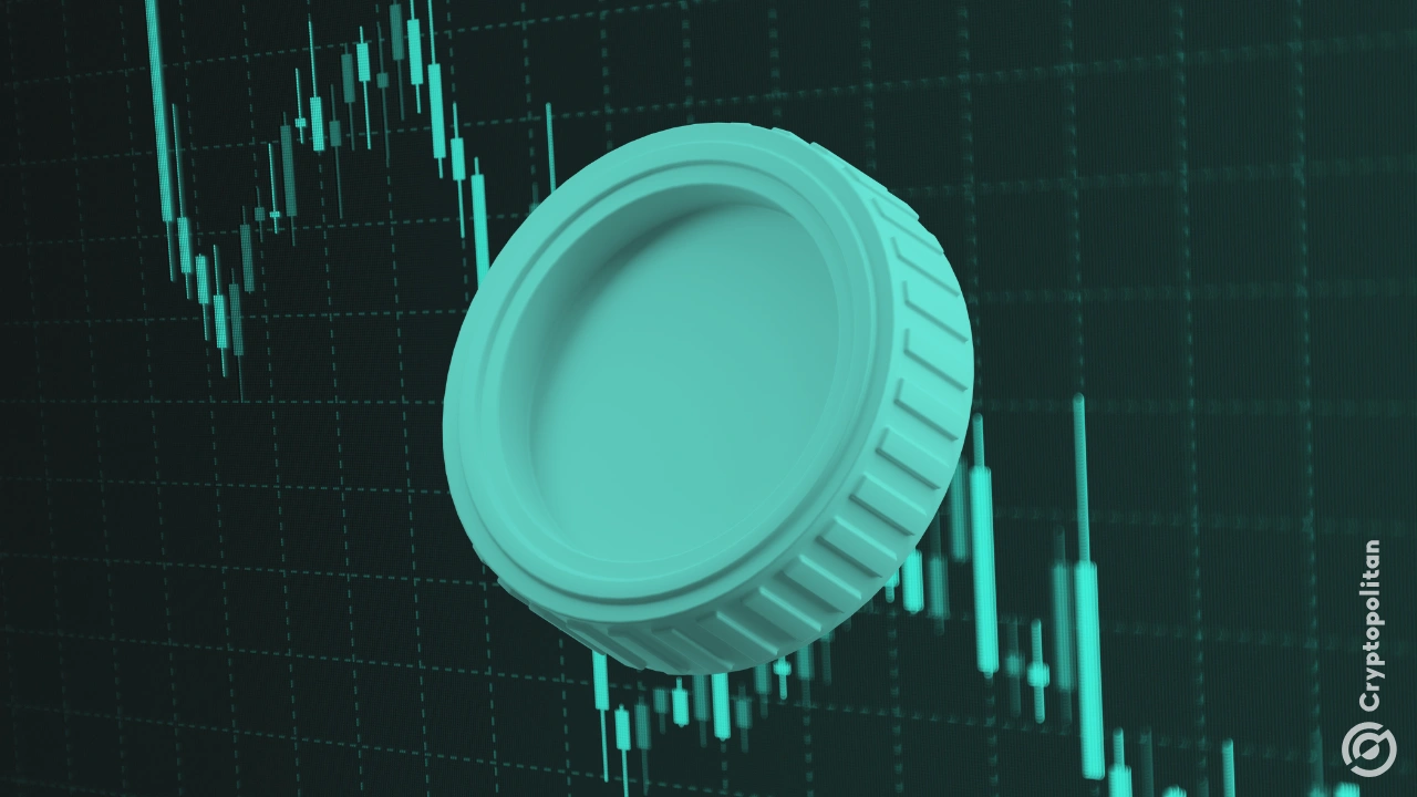 Hyperliquid raises HYPE holdings to 17.6M amid market volatility