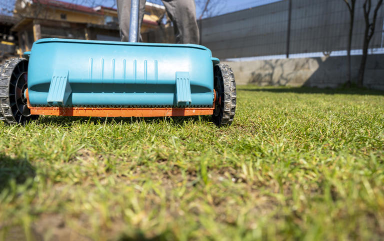 Here's how I spring seed my lawn as a yardcare expert