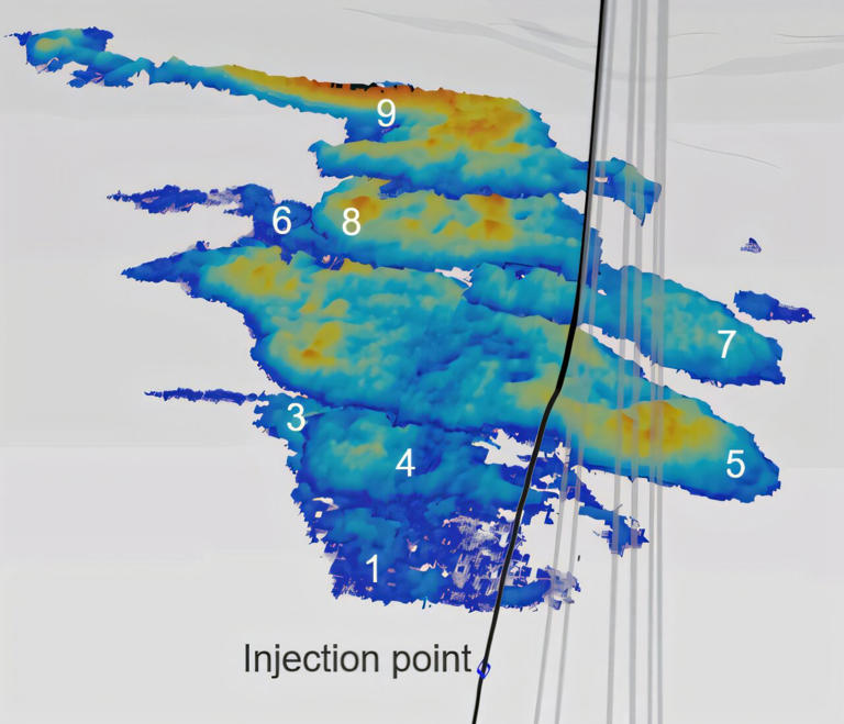 Keeping an eagle eye on carbon stored in the ocean