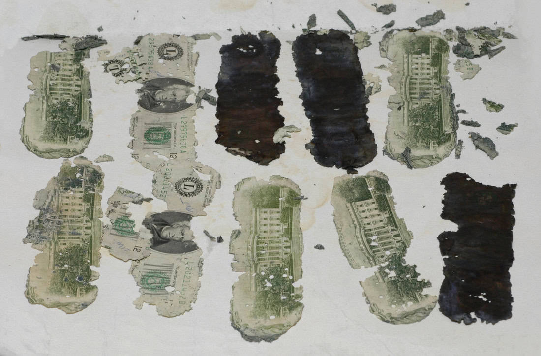 30 law enforcement investigations that sparked controversy