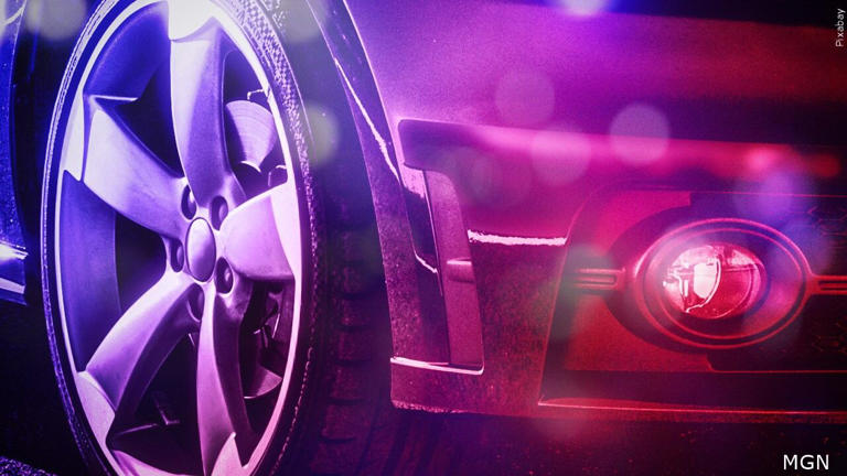 TPD, WCSO locate and arrest Tallahassee carjacking suspect in joint ...
