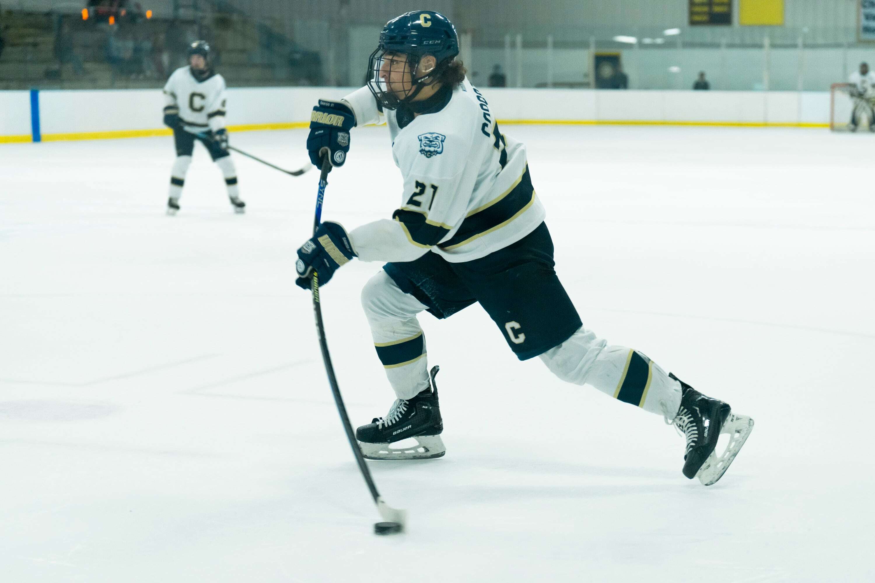 Ann Arbor-area hockey stat leaders through Feb. 11