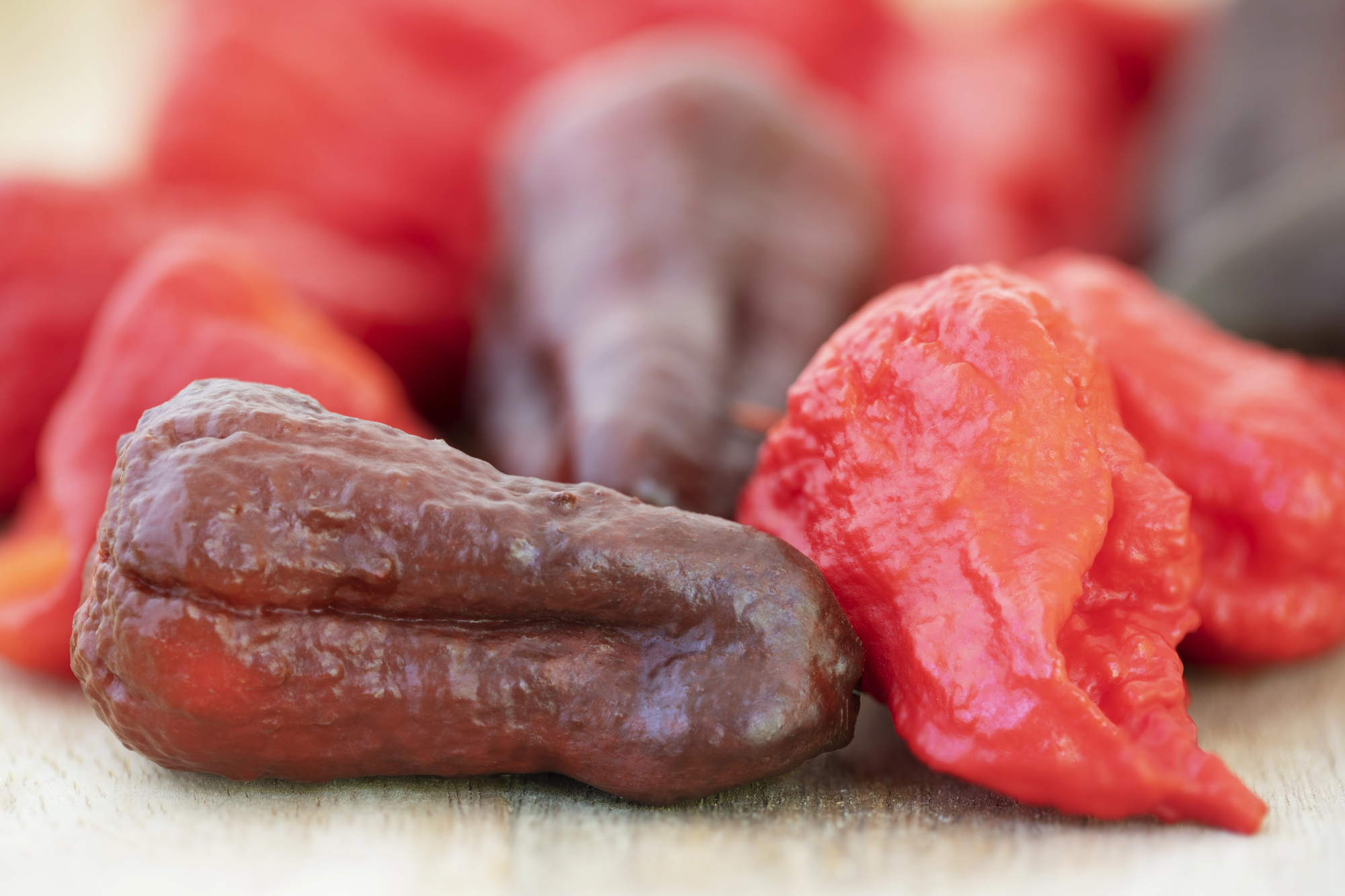 15 chilliest peppers you can eat