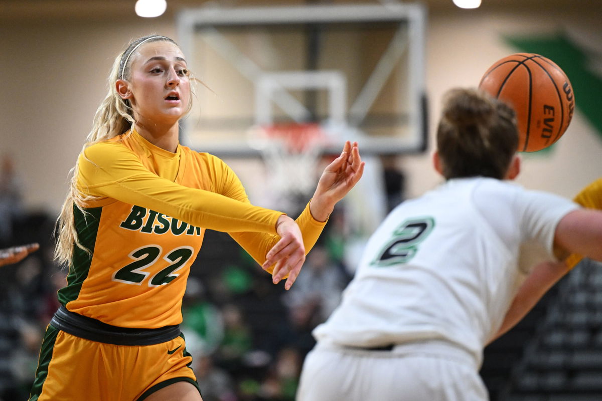 NCAA women’s basketball rebound rankings: Top 15 board crashers ranked ...