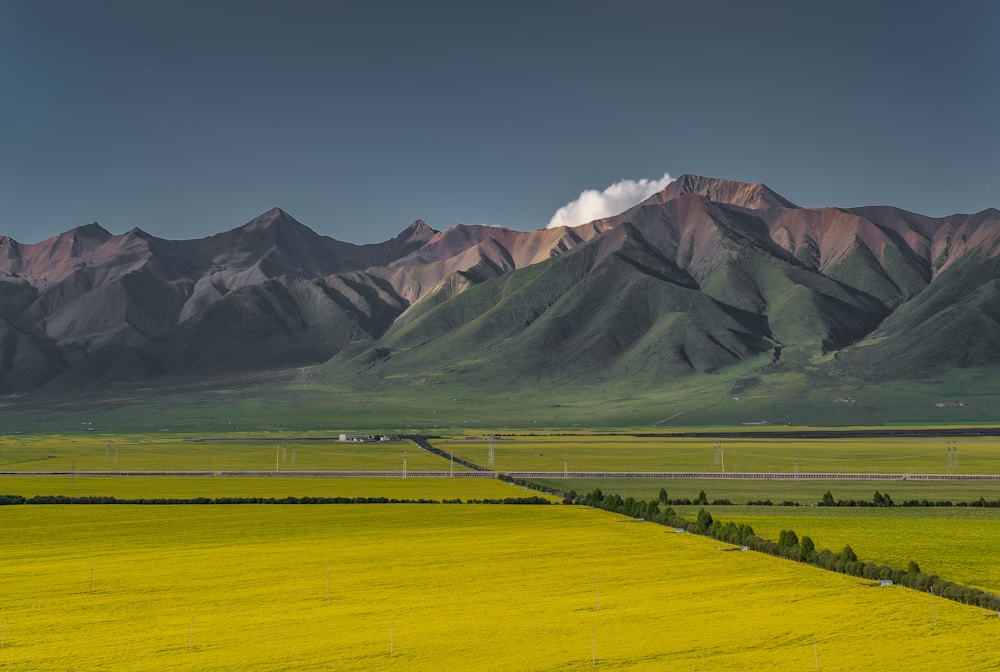 20 places in China that look like fantasy worlds