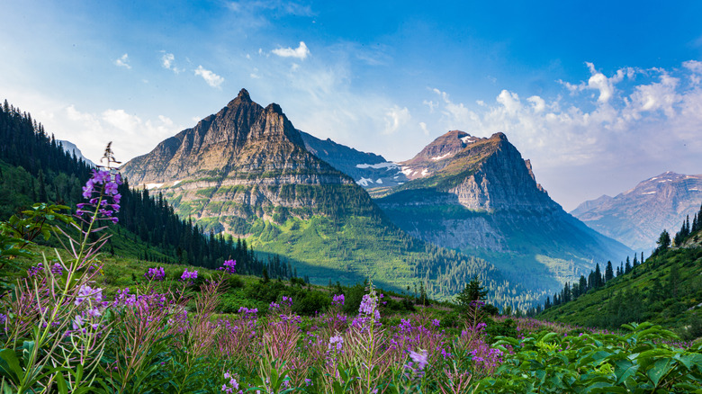 These are the best train routes for unforgettable national park views