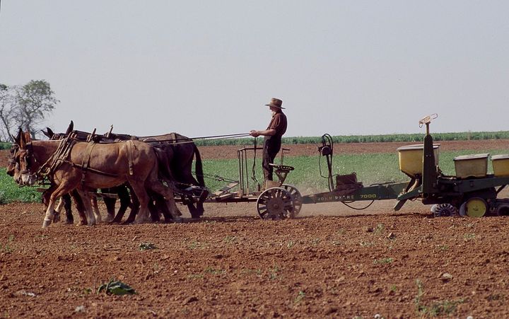 Things most people miss about the Amish