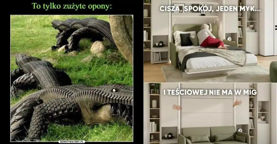 Relacja z teściową na jednym obrazku. Te memy o teściowych to absolutny ...