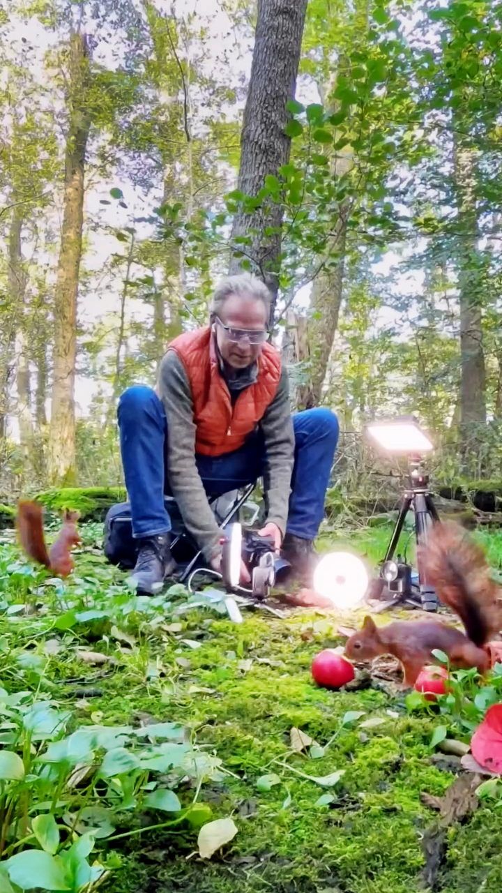 Han ställde sin kamera i skogen och djuren började posera
