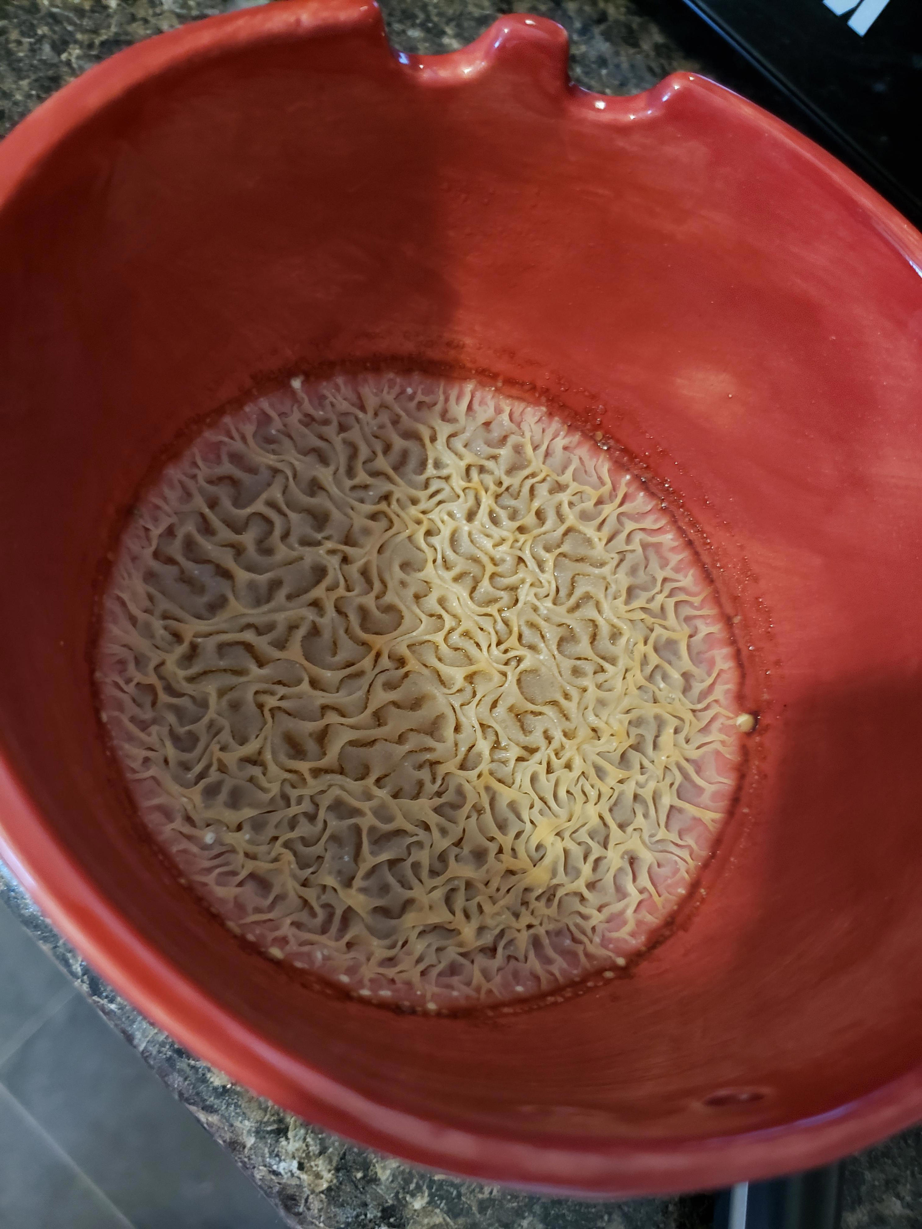 Strangers share surprising trypophobia triggers with 30+ creepy photos