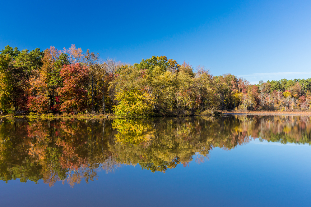 15 severe wildlife disruptions in US state parks