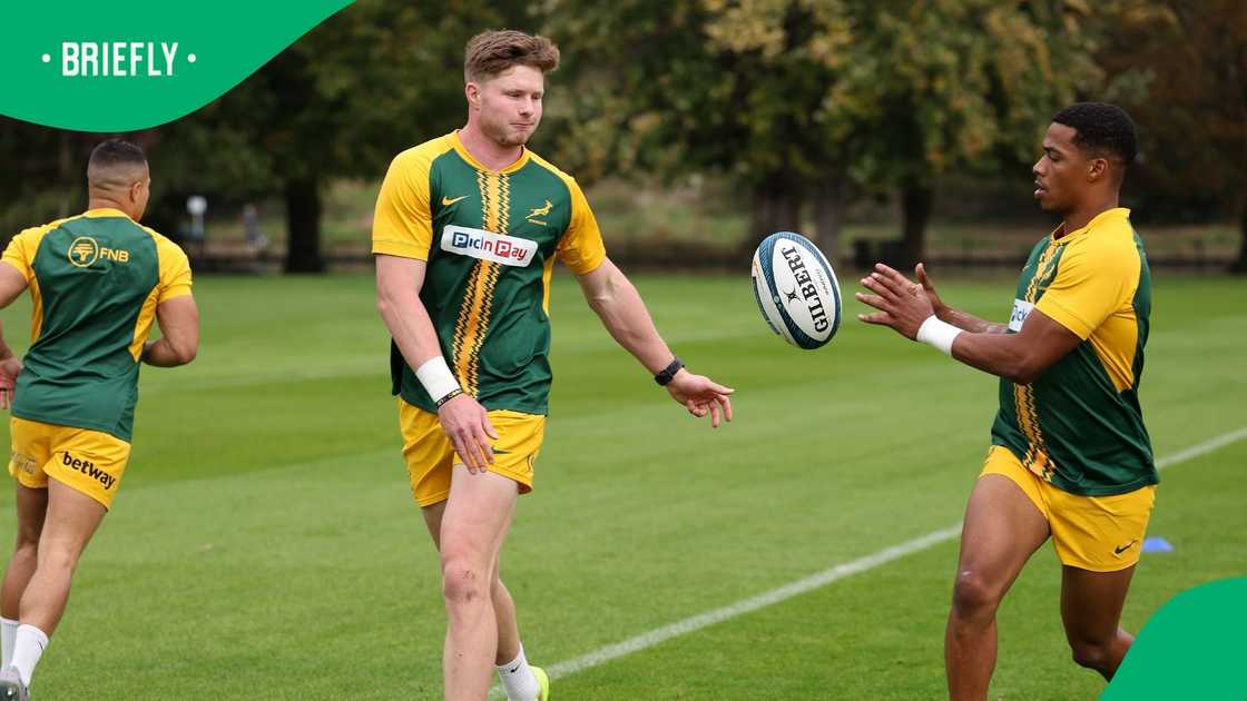 Grant Williams set to leave Sharks for Japan, Springboks star on the move