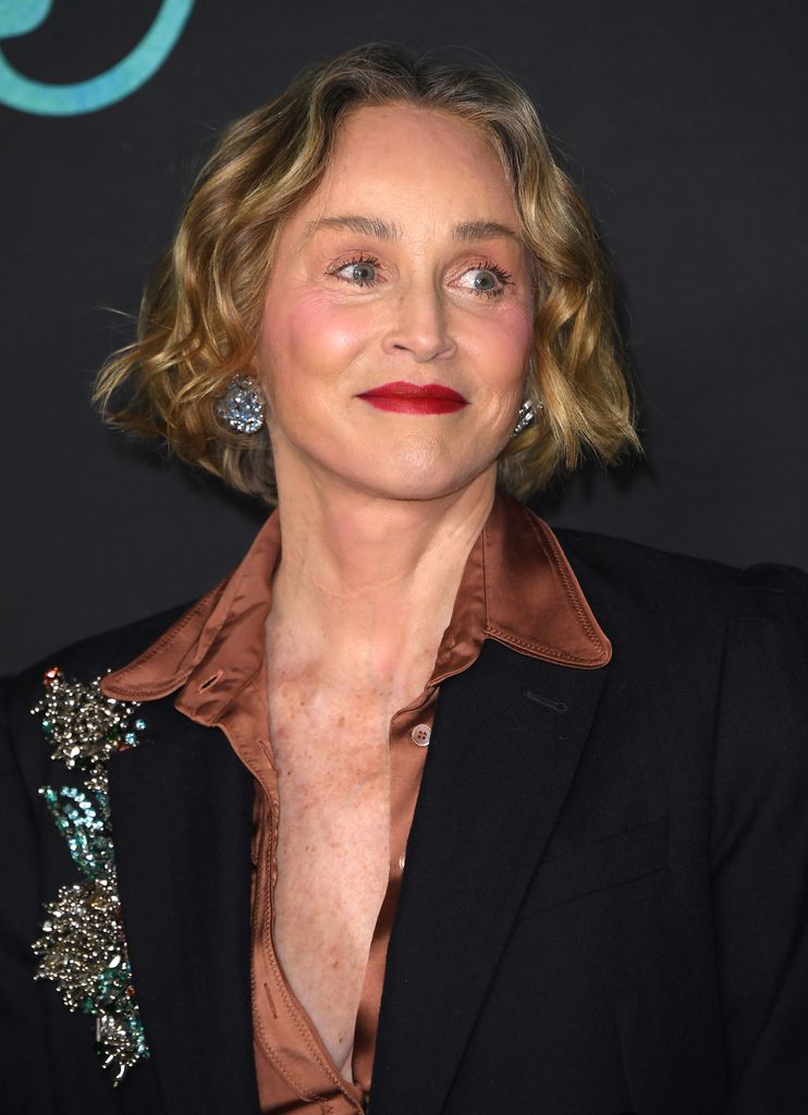 Sharon Stone makes waves with radiant red carpet appearance at 67