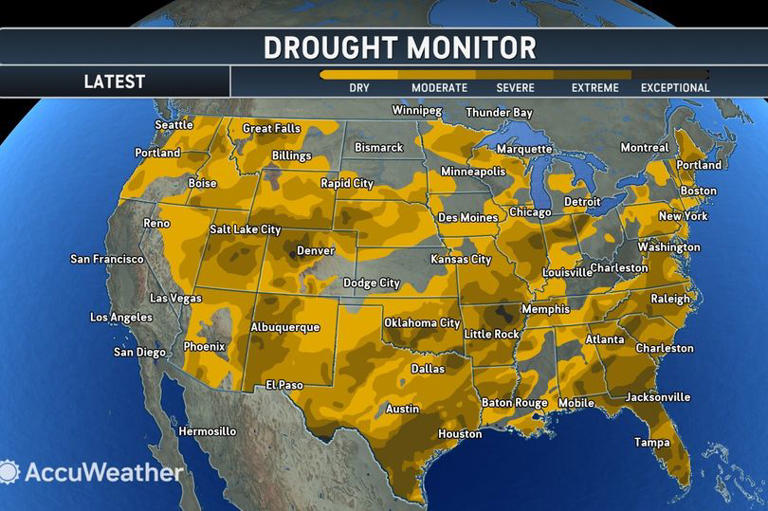 Extreme drought warning in Florida sparks major wildfire risk