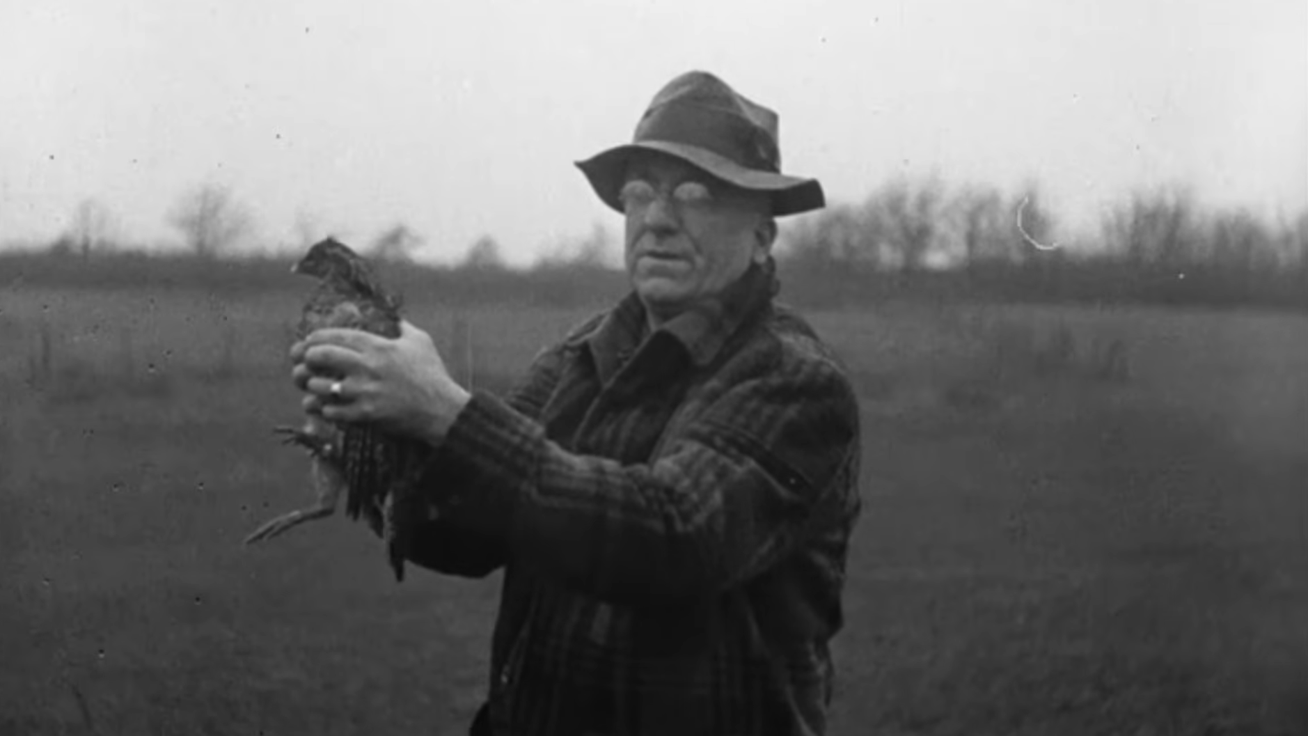 This is the last known footage of an extinct bird - and it’s disturbing