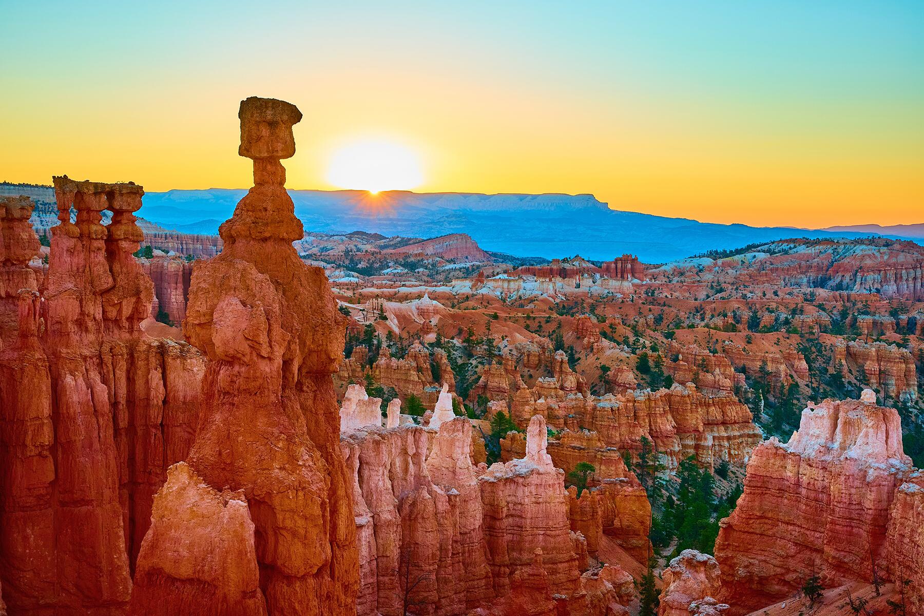 Trump’s National Park 'snitch signs' backfired spectacularly