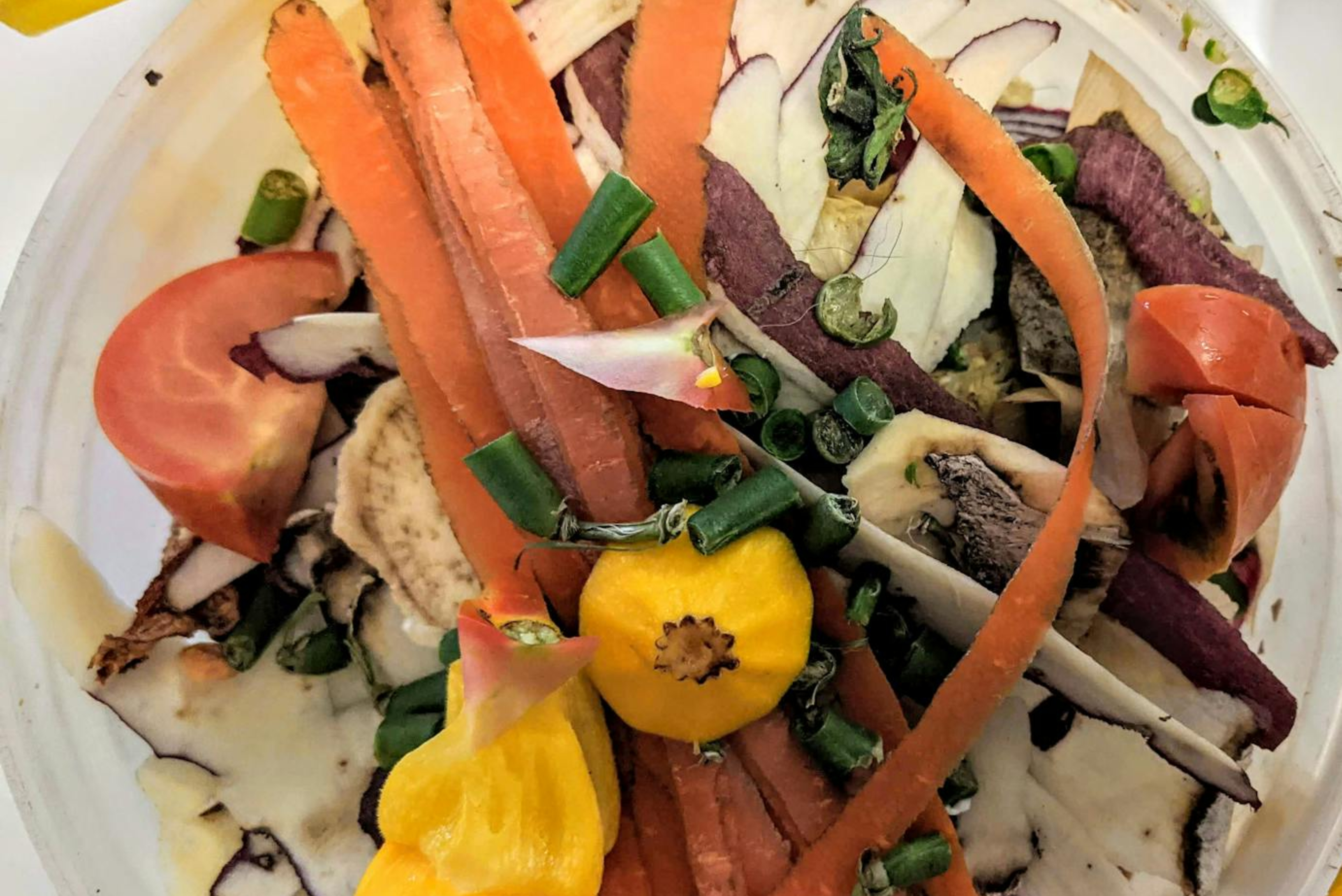 First look at new food waste caddies arriving in Lancashire ahead of ...