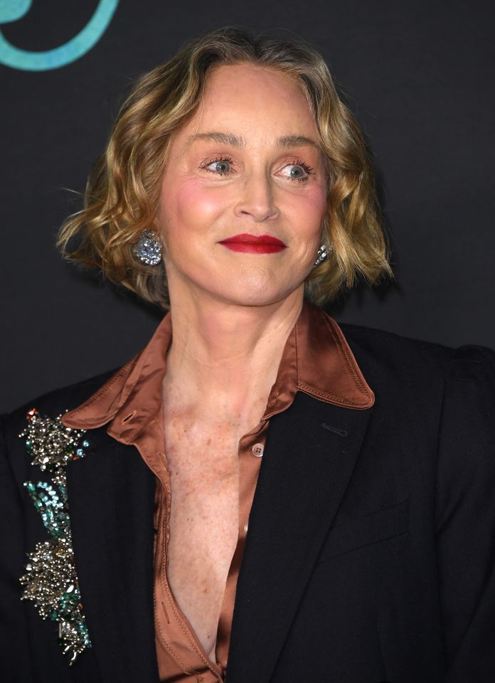 Sharon Stone turns heads in a plunging office siren look and Gen Z ...