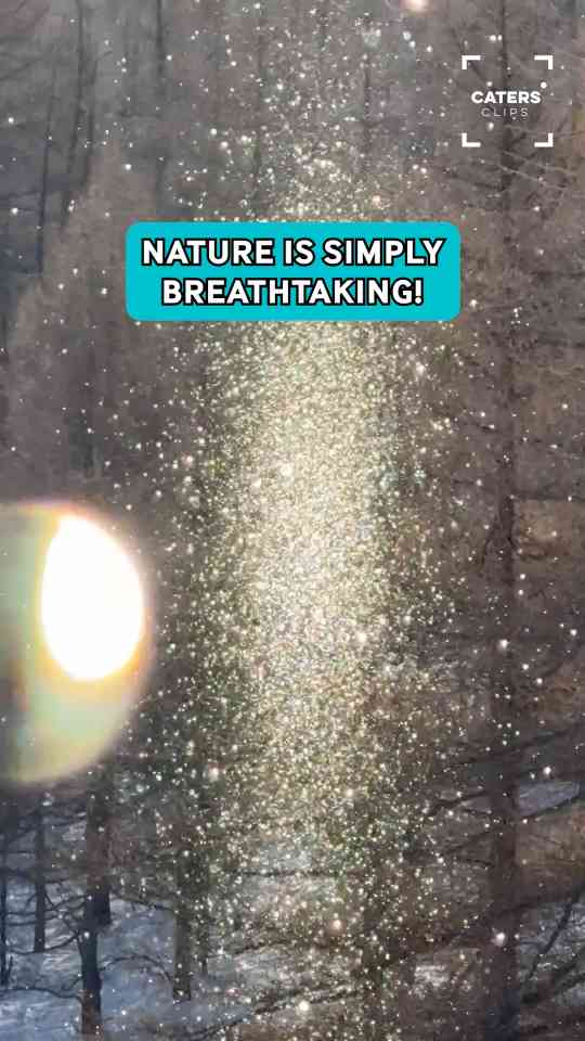 Rare diamond dust phenomenon captured in Mongolia