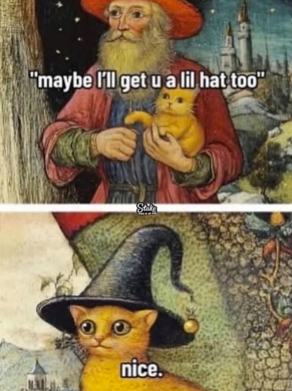 Funniest cat memes for feline fanatics