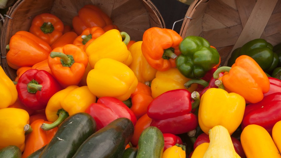 Don't miss out: Seniors can get farmers market coupons in St. Lawrence ...
