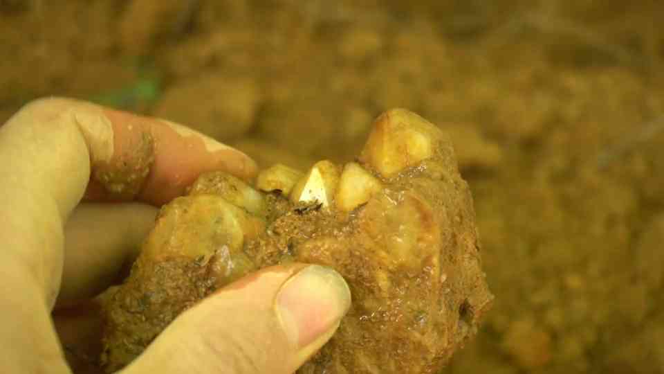 What you can find when you dig at Diamond Hill Mine