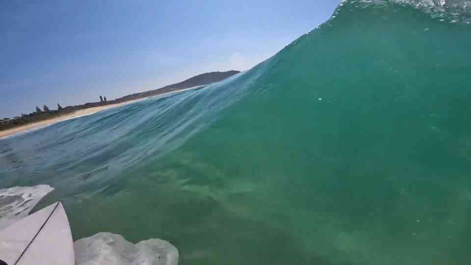 The water looked perfect until a shark cut through the lineup