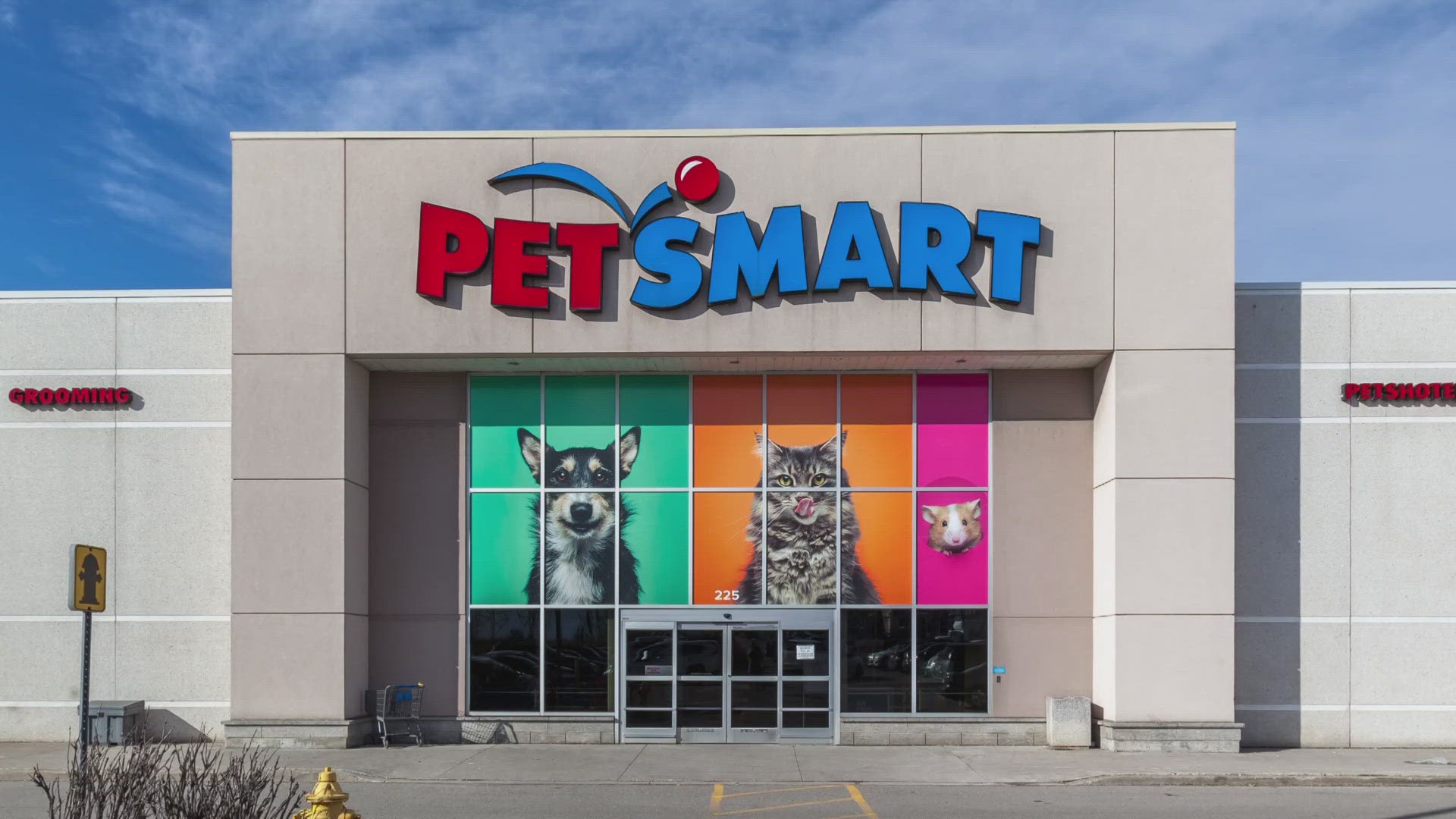 PetSmart to pay former employees over training program