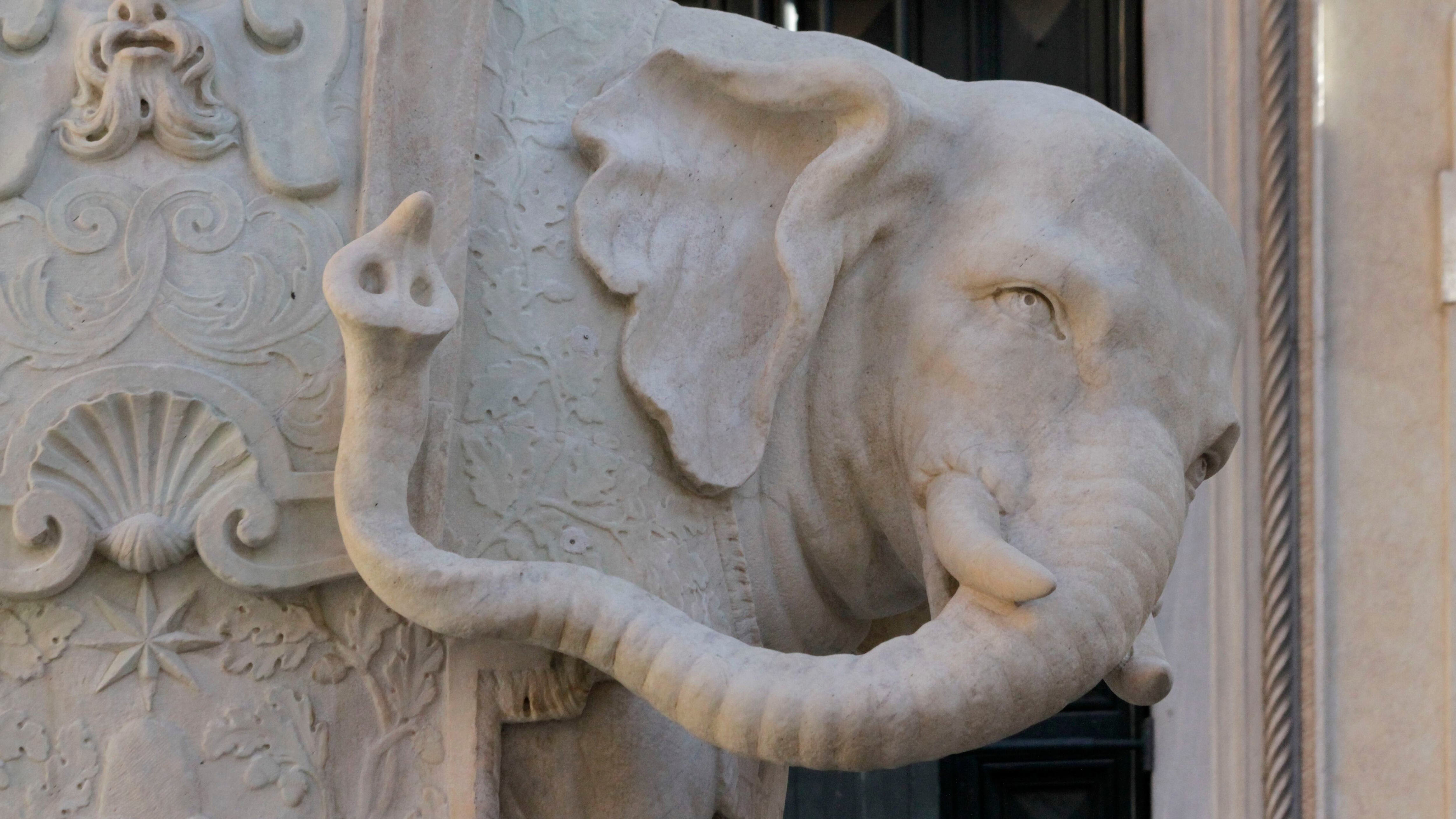 Mystery as famous elephant statue loses tusk—again