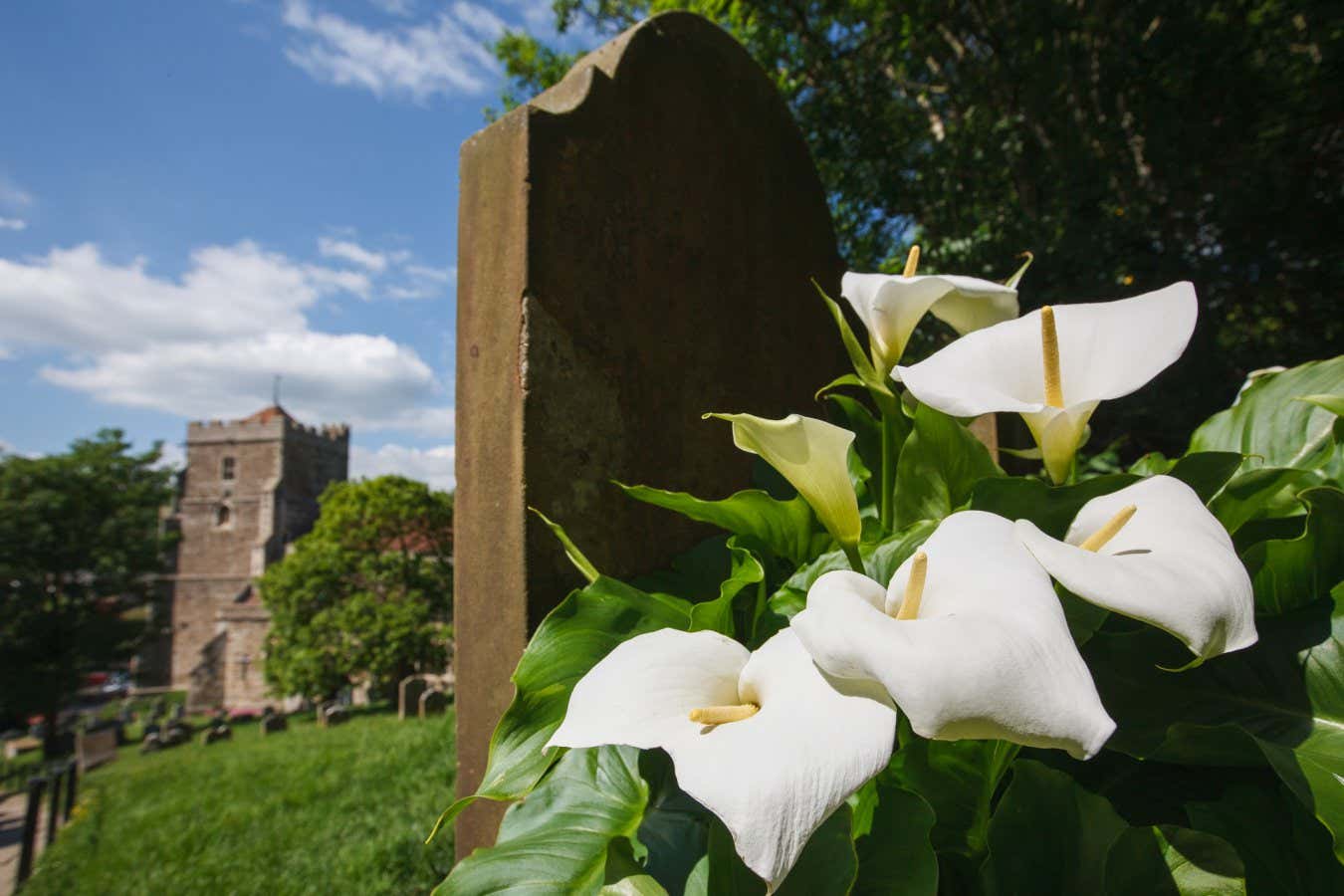 Why some people cannot move on from the death of a loved one