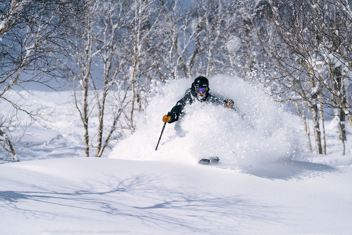 Ellis Skis launches 26/27 pre-sale skis