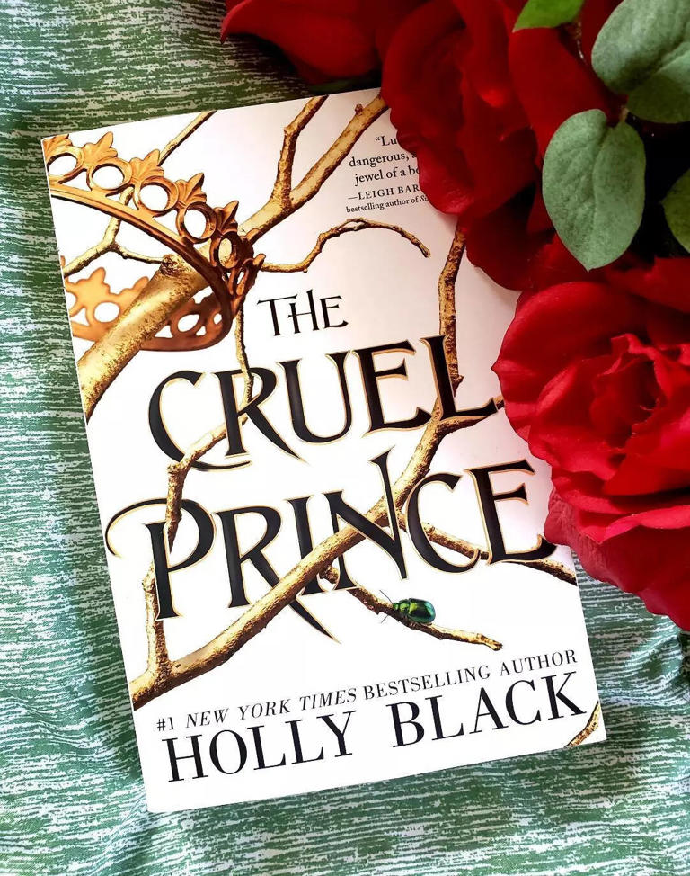Book of the day: The Cruel Prince by Holly Black — here’s why readers ...