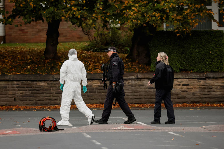 Operation Catogenic: CST charity reveals largest, most complex ...