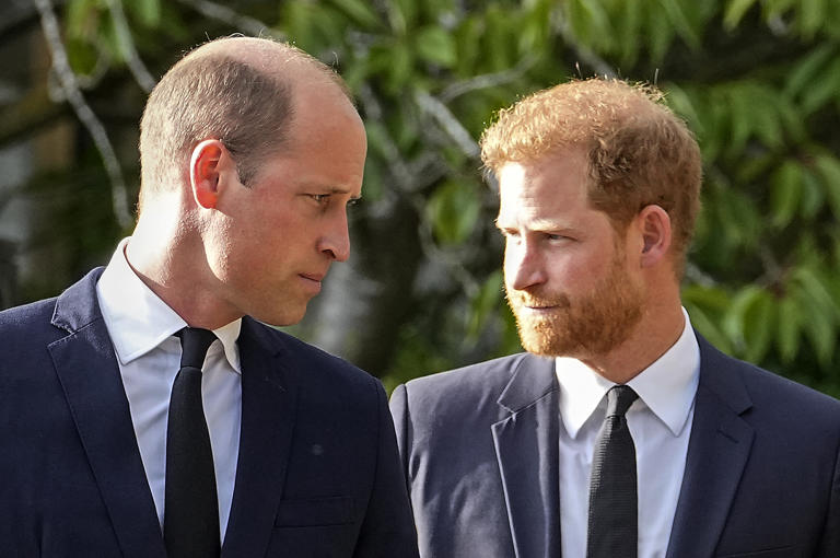 Prince Harry reached out to brother William through a mediator — and it ...