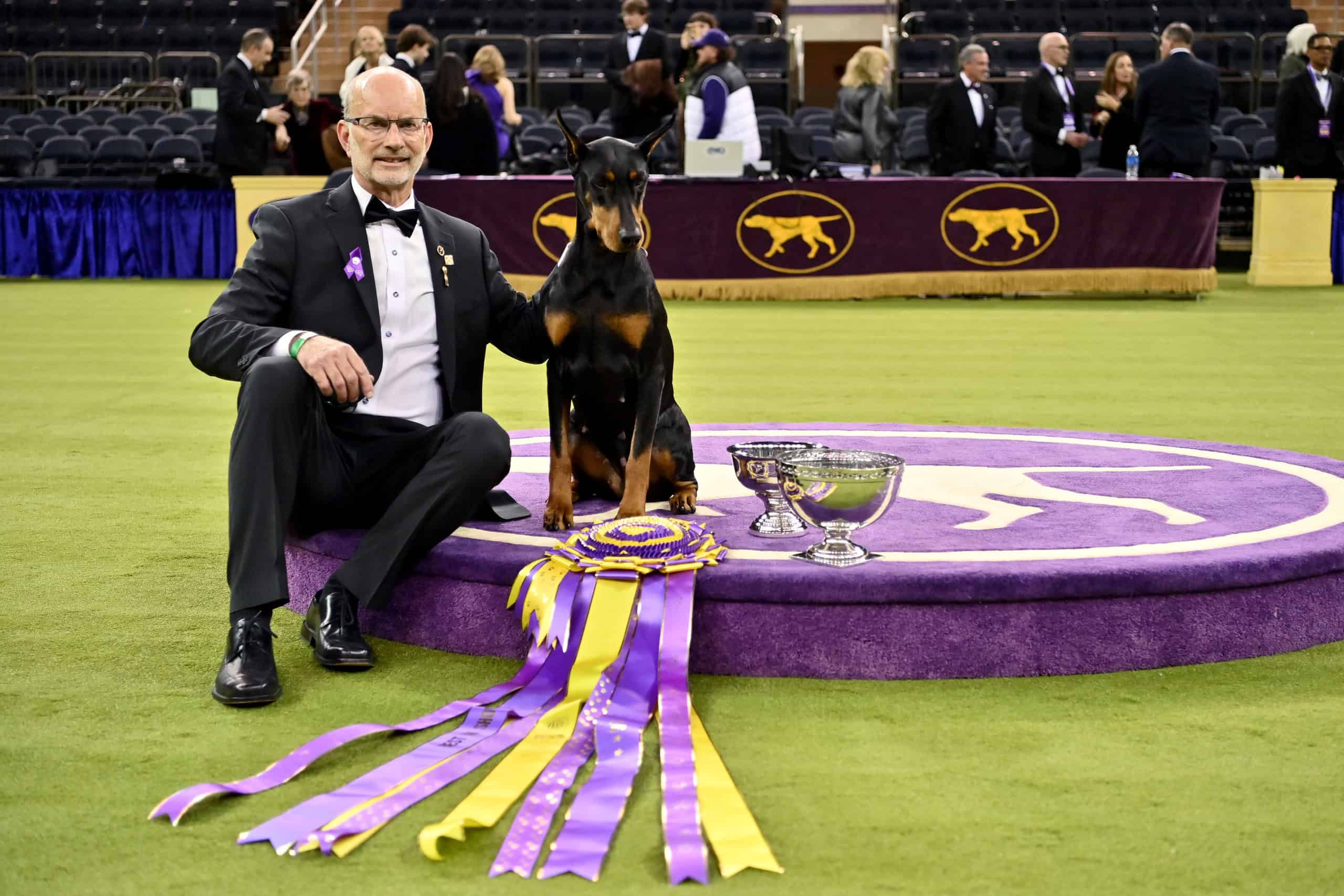 Crufts uncovered: The world’s largest dog show and the hidden dangers ...