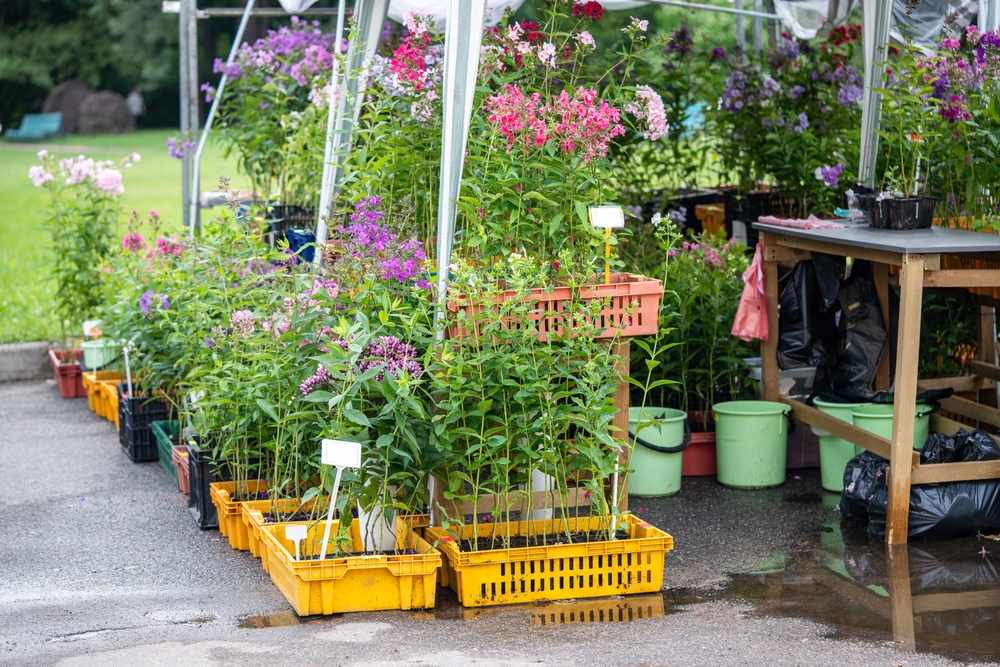 16 garden trends Canadians are trying in 2026 (even in small spaces)