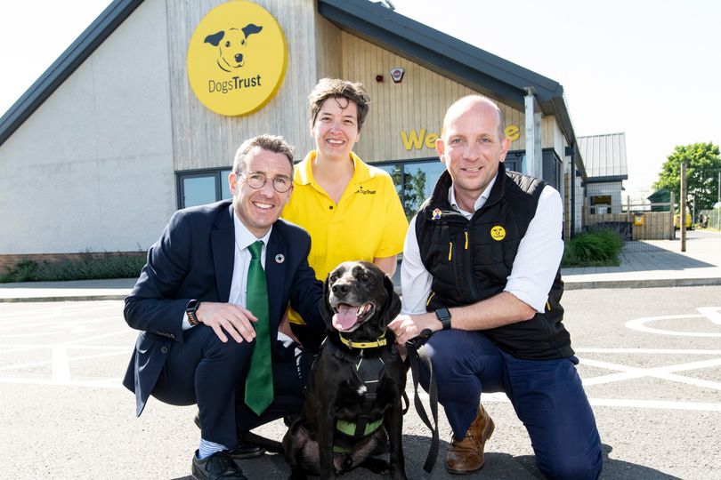 Plans to ban the third-party sale of puppies and kittens announced by ...