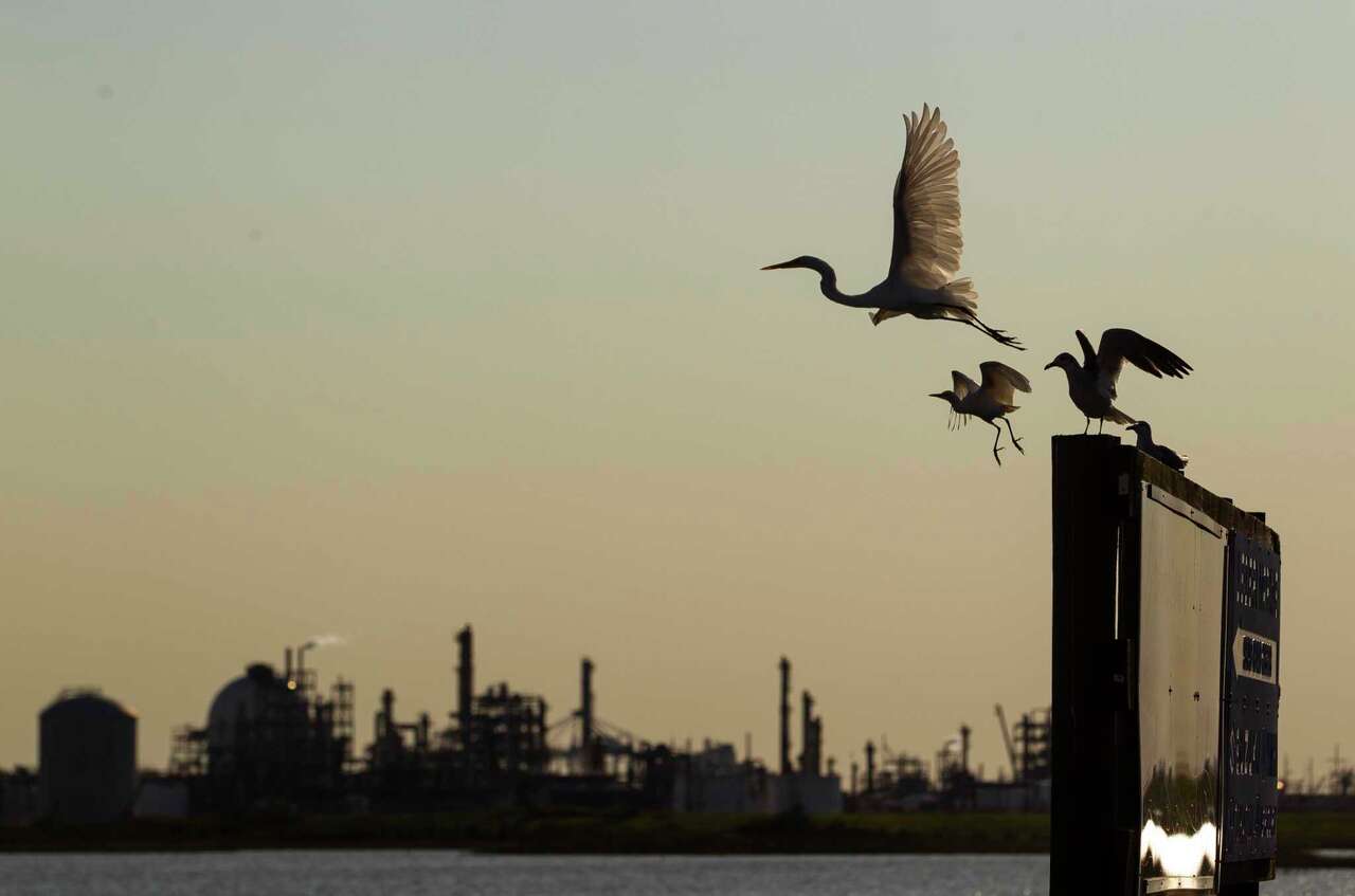 Ken Paxton lawsuit says Dow illegally dumped plastic pellets in Texas ...