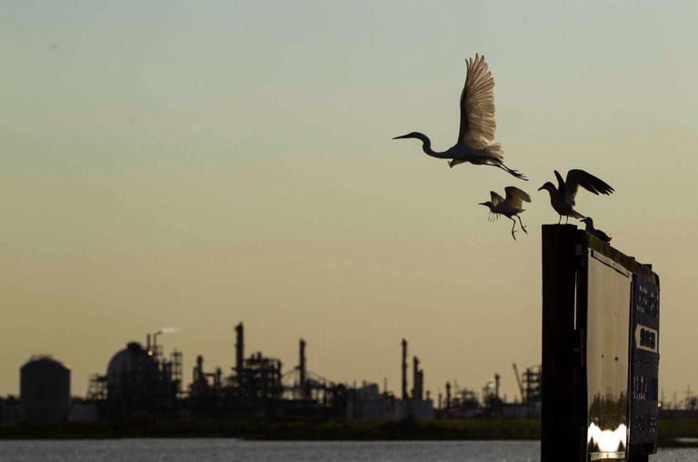 Ken Paxton lawsuit says Dow illegally dumped plastic pellets in Texas ...
