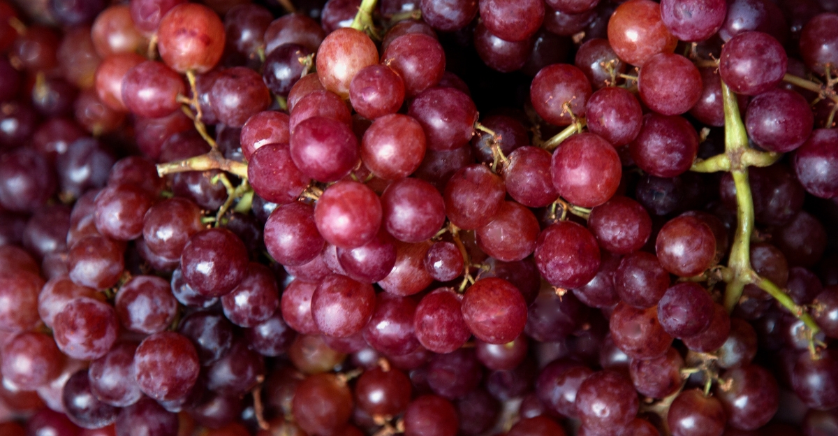 Your kidneys will thank you for adding these 11 foods to your plate